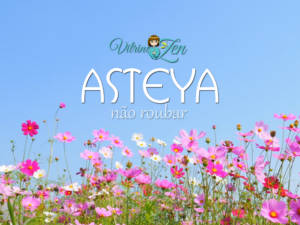 3º Yama: Asteya – Não roubar - Seu Blog de Yoga, Meditação| Conheça ...